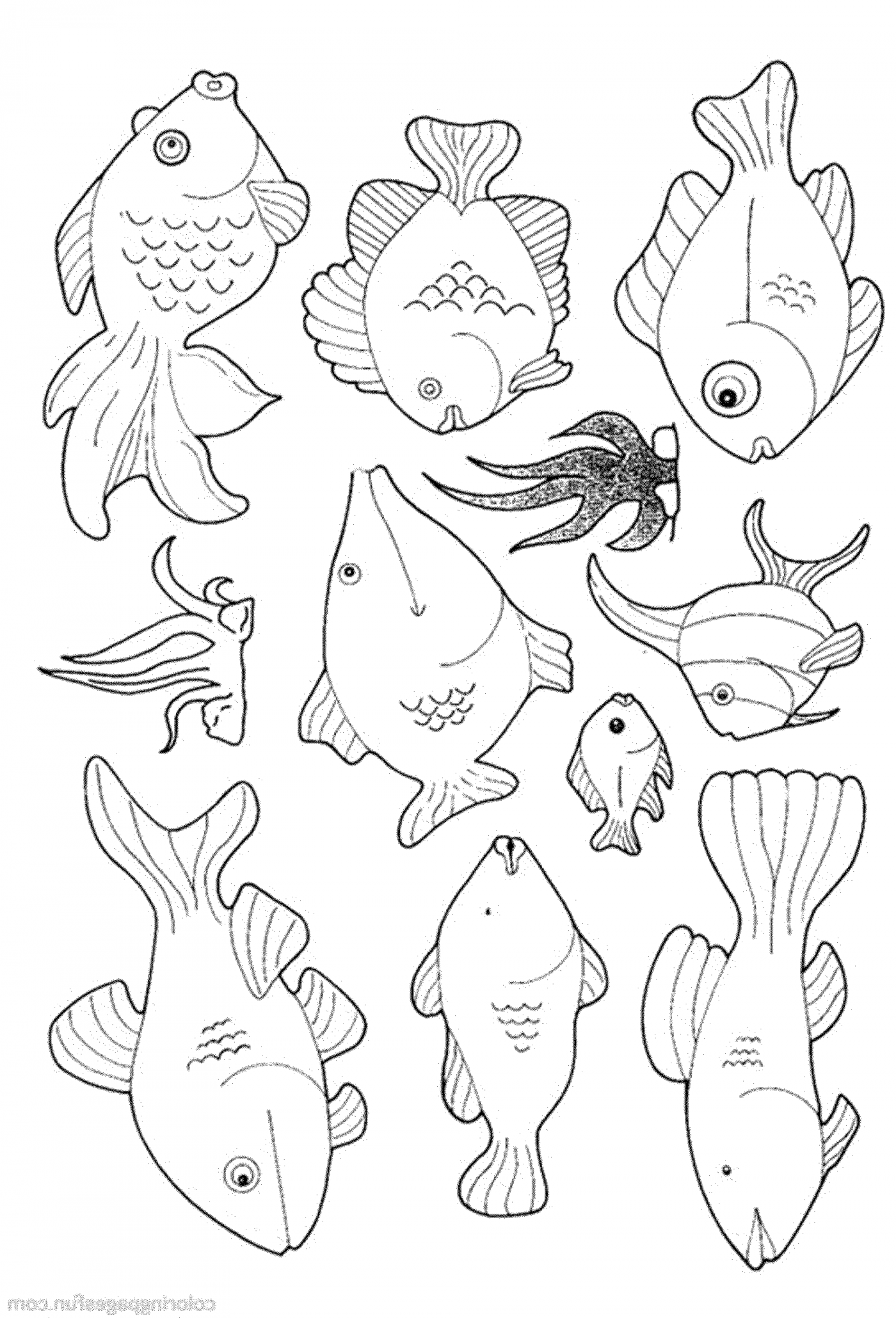 Coloring Fish Printables