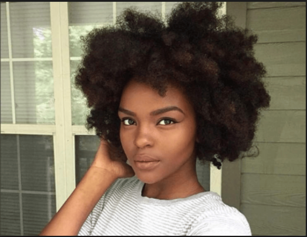 10 4b Natural Hair Styles Fashionblog