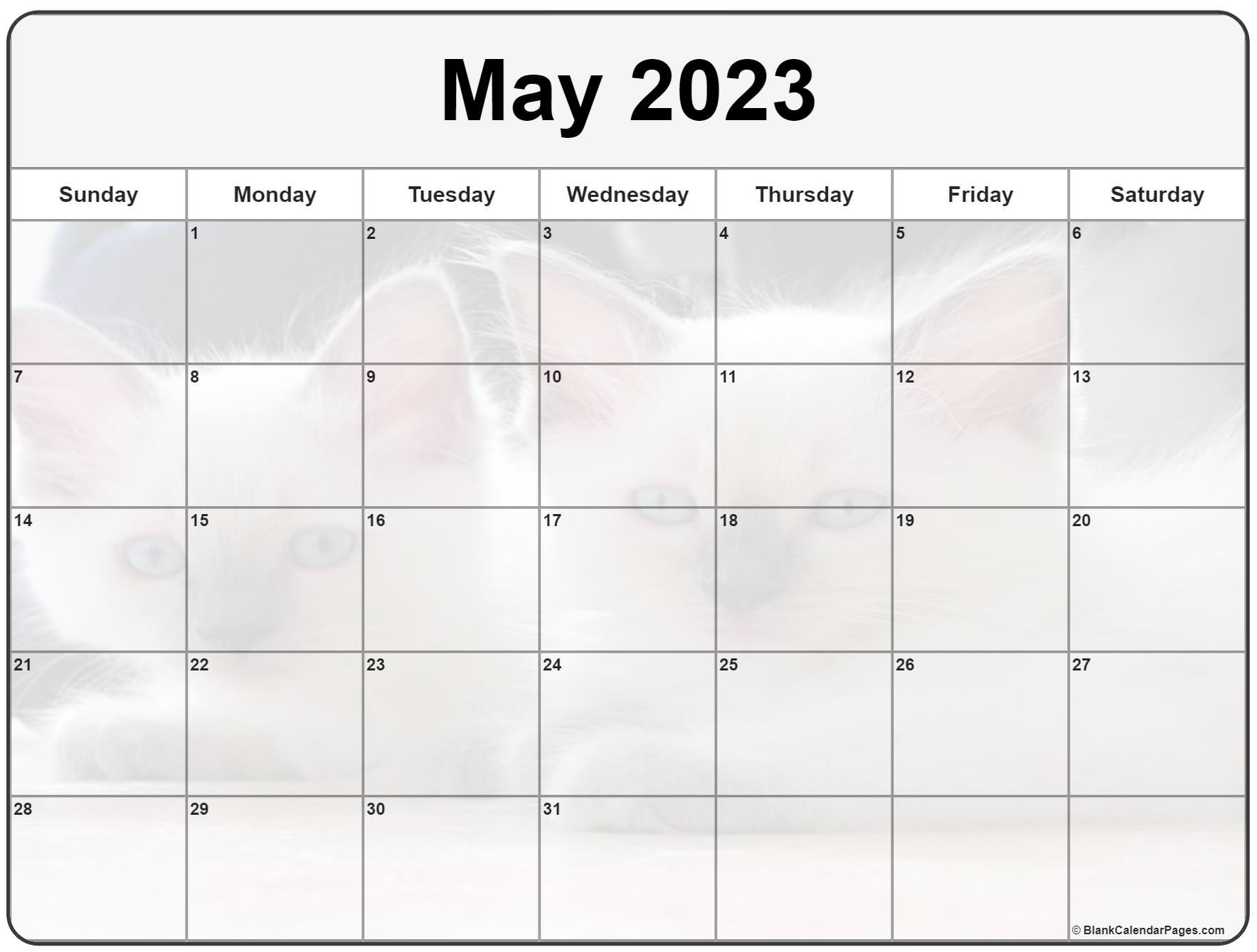 Cute May Calendar 2023 Printable