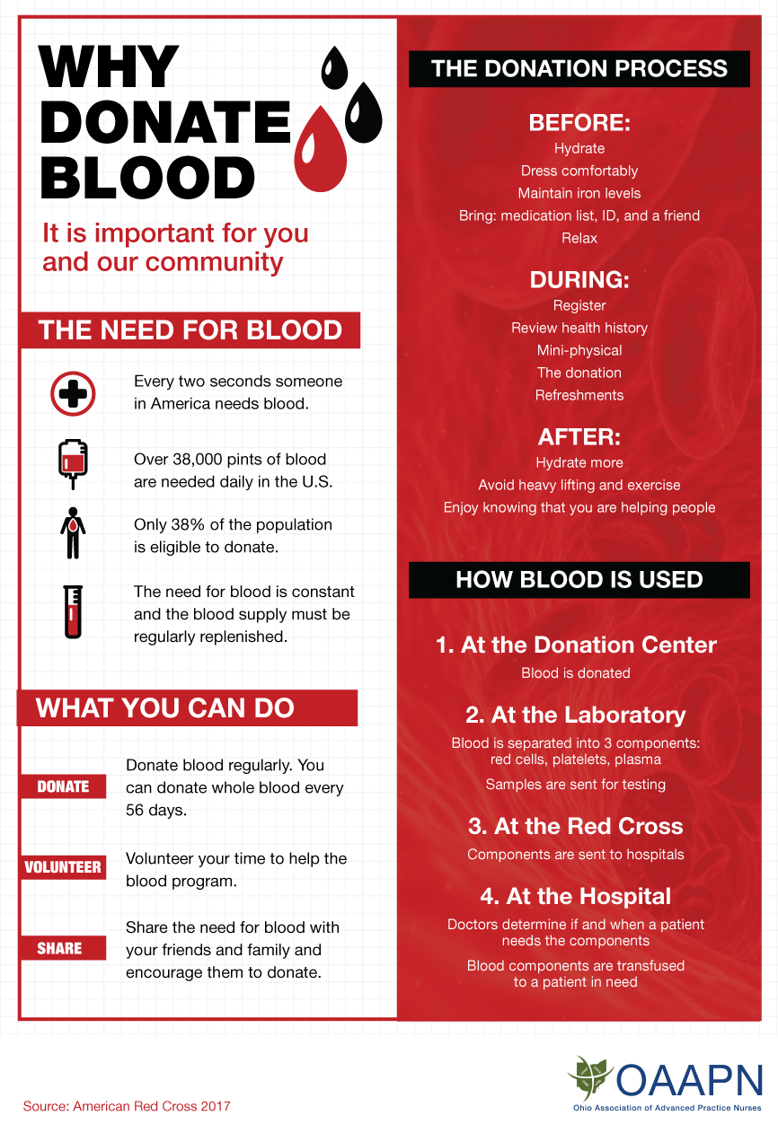 How To Donate Blood A Lifesaving Act Ihsanpedia