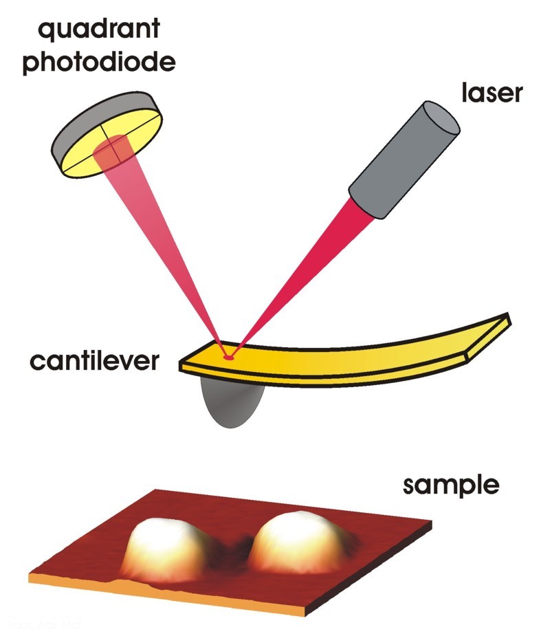 Atomic Force Microscope Cantilever