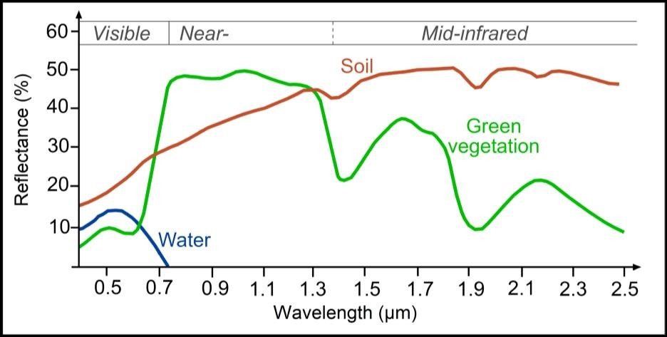 Vegetation Spectral Signature Cheat Sheet