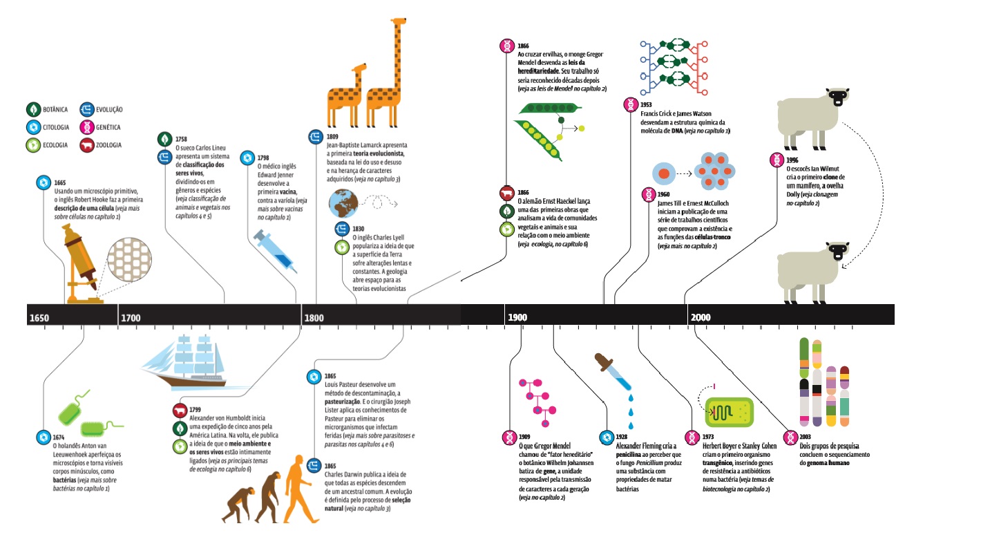 Linha Do Tempo Sobre A História Da Célula Nex Historia