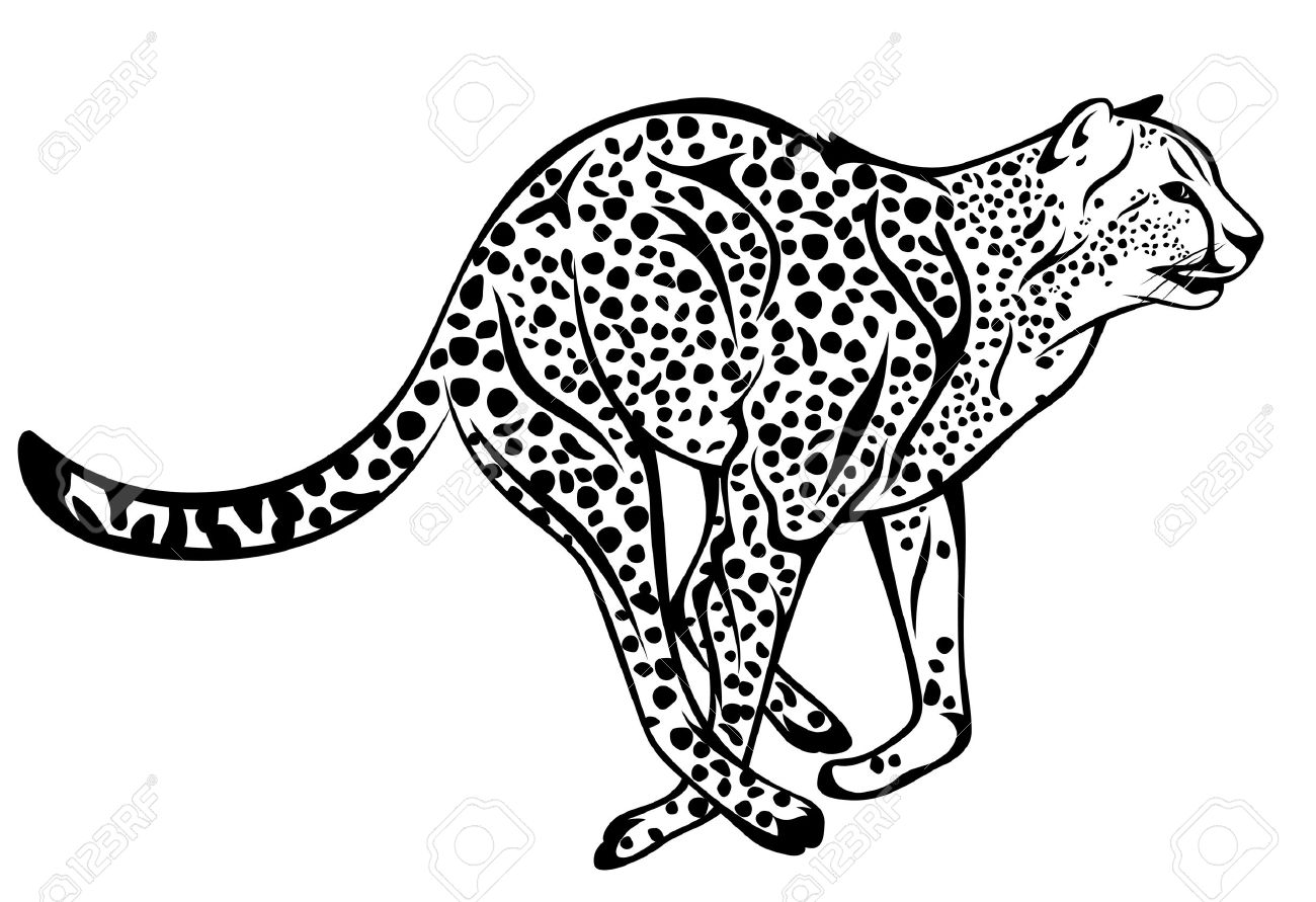 Outline Drawing Of A Cheetah Warehouse Of Ideas