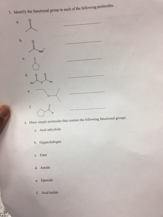 Identifying Functional Groups Worksheet Printable Word Searches