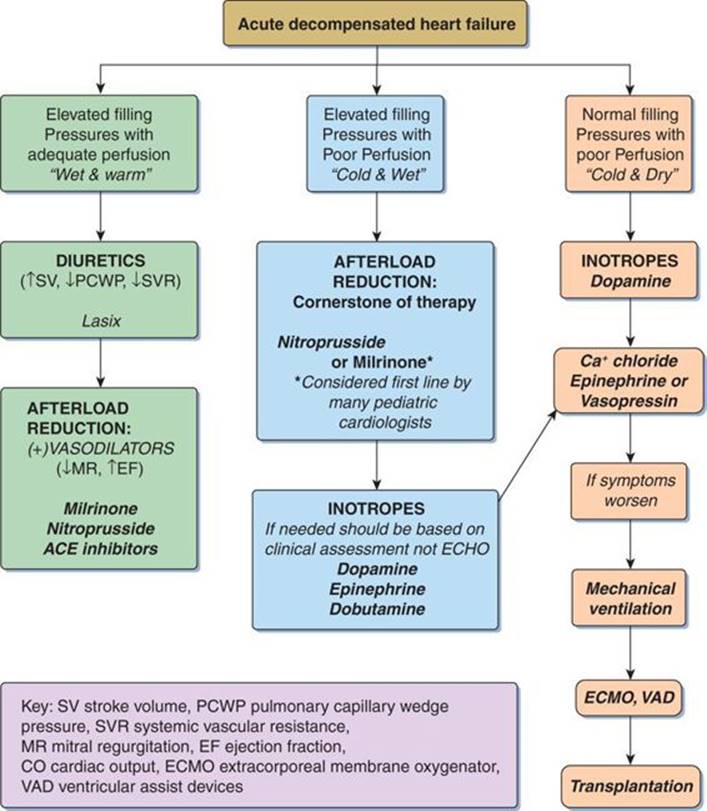 What Is The First Line Treatment For Heart Failure