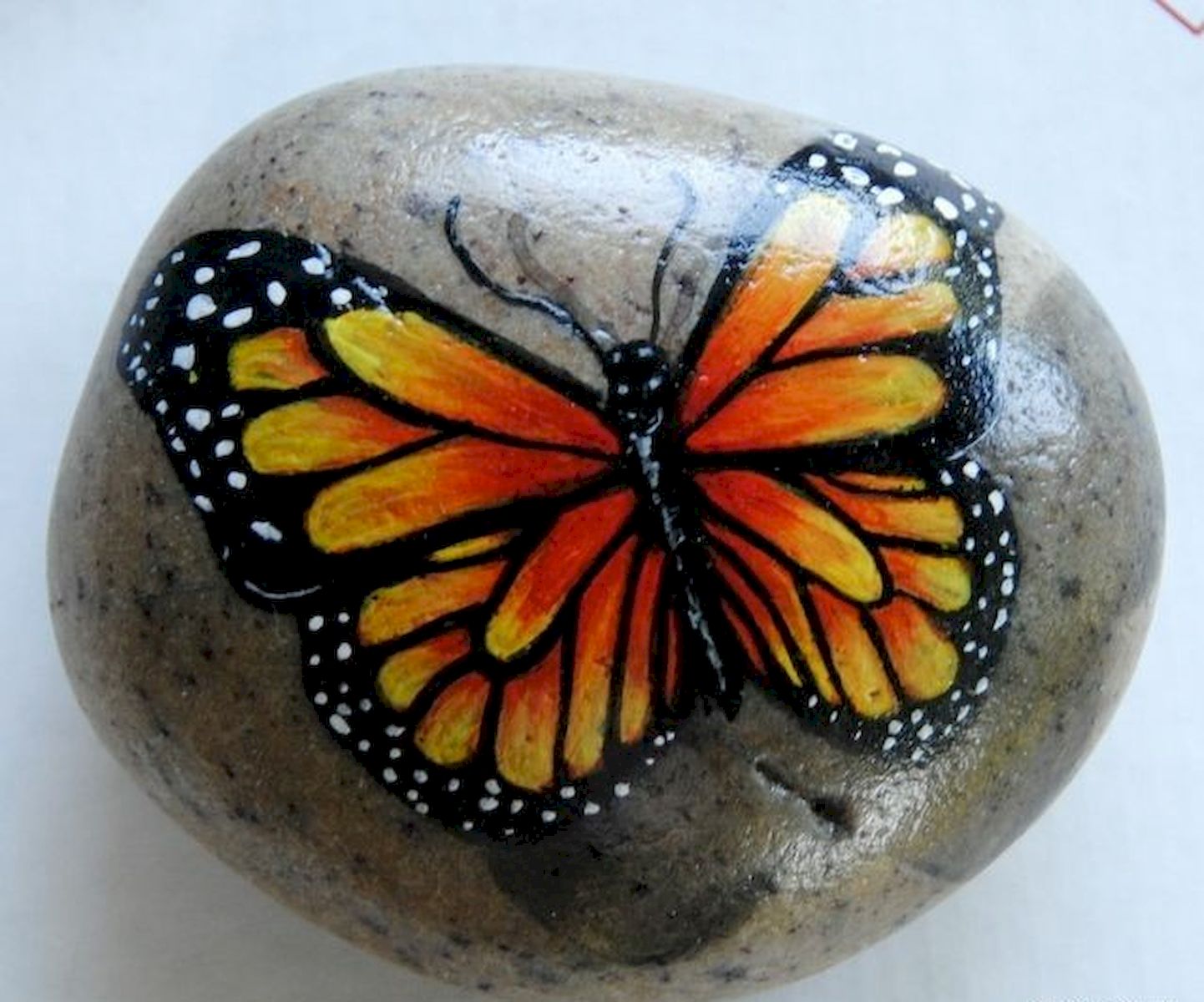 55 Cute Diy Painted Rocks Animals Butterfly Ideas 35 Doityourzelf