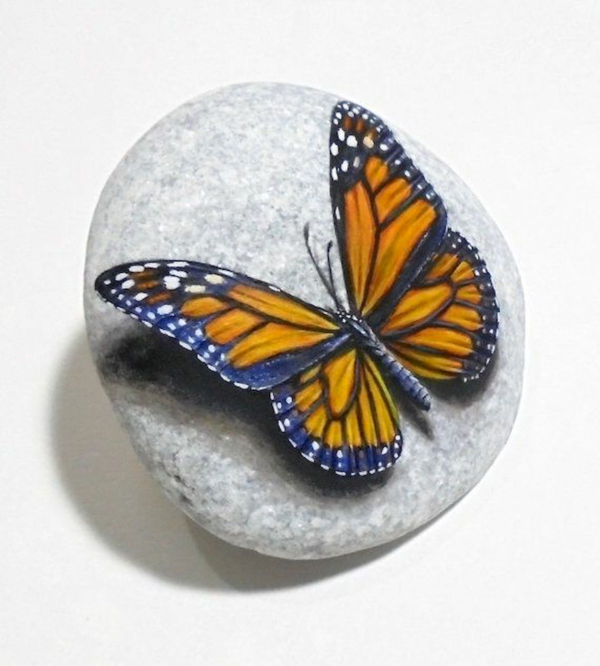 55 Cute Diy Painted Rocks Animals Butterfly Ideas 50 Doityourzelf