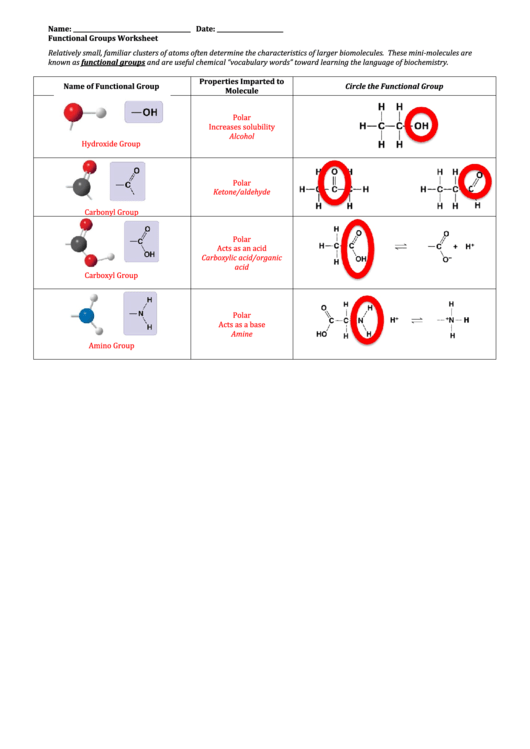 Identifying Functional Groups Practice Worksheet Printable Word Searches