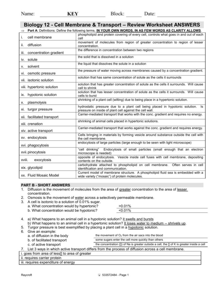 Transport Across Membranes Worksheet Answers Printable Word Searches