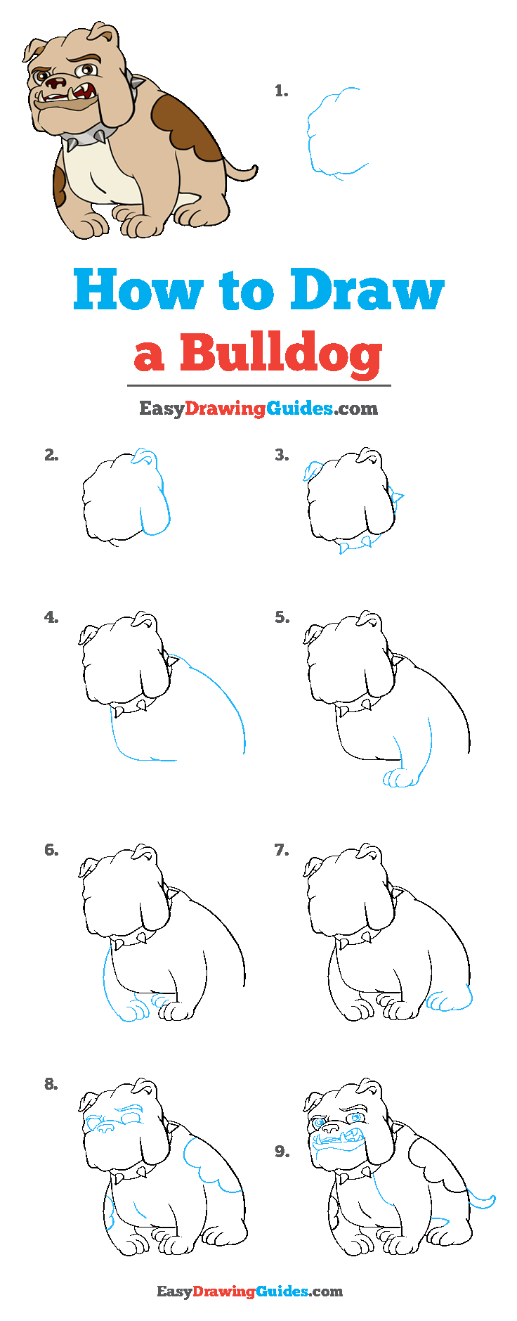 How To Draw Bulldog Step By Step At Drawing Tutorials