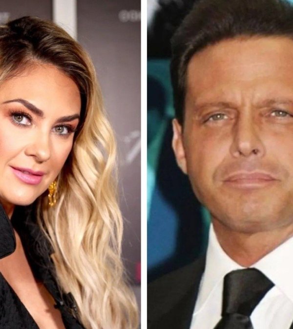 ¿aracely Arámbula Quiere Demandar A Luis Miguel ¡escándalo El