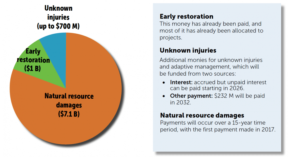 Natural Resource Damage Assessment