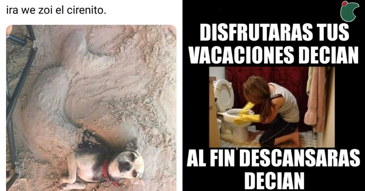 17 Memes De Las Vacaciones Que Te Recordarán La Desgracia De Nacer Erizos