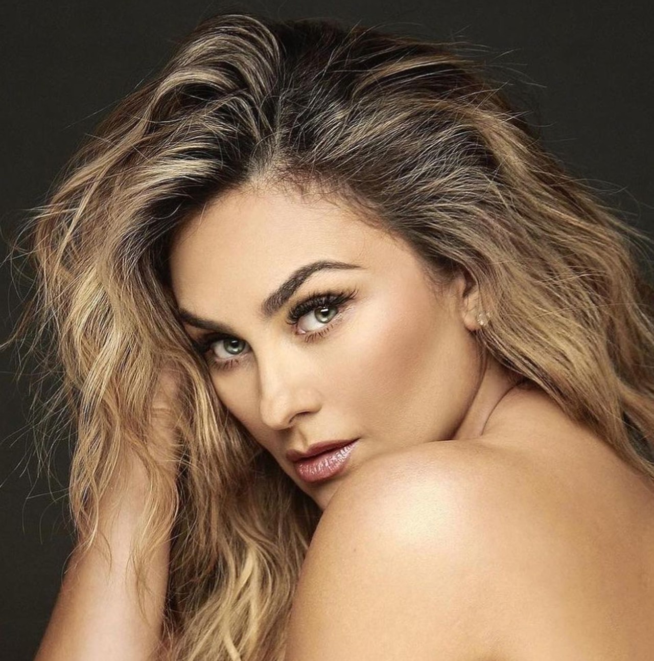 Aracely Arámbula Y Quién Es Quién En La Nueva Versión De La Madrastra