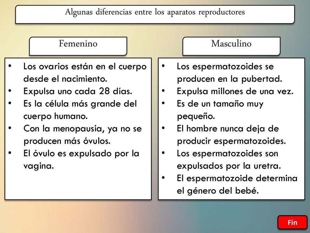 Diferencias Entre El Aparato Reproductor Femenino Y Masculino