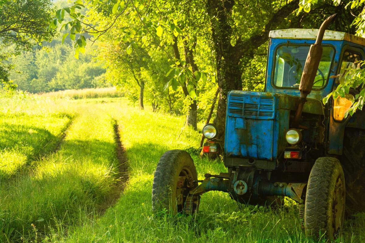 Samo želim Nekog Da Rasklopimo Traktor Mog Oca U Tišini Fenomeni