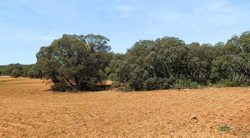 Como Saber El Valor Catastral De Una Finca Rustica