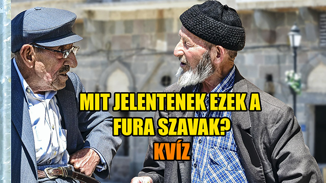 Mit Jelentenek Ezek A Fura Szavak KvÍz Kviztengerhu