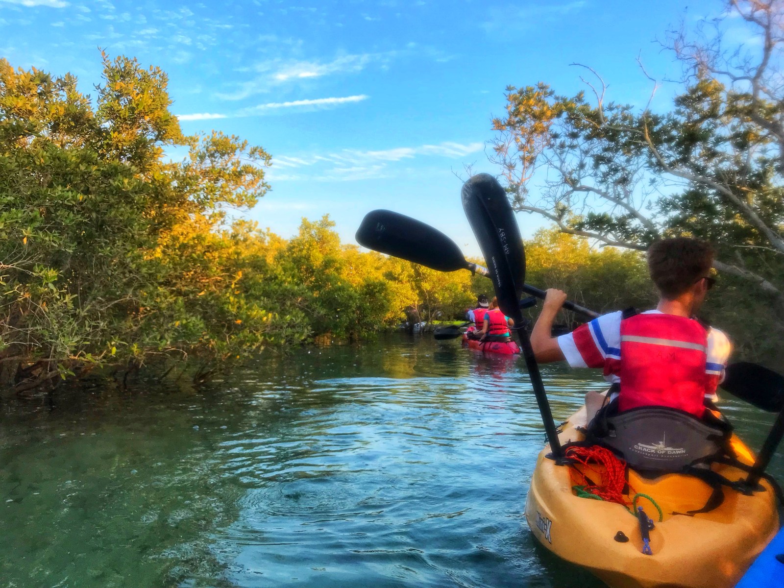 Why Mangrove Kayaking In Abu Dhabi Must Be On Your List Hopping Feet