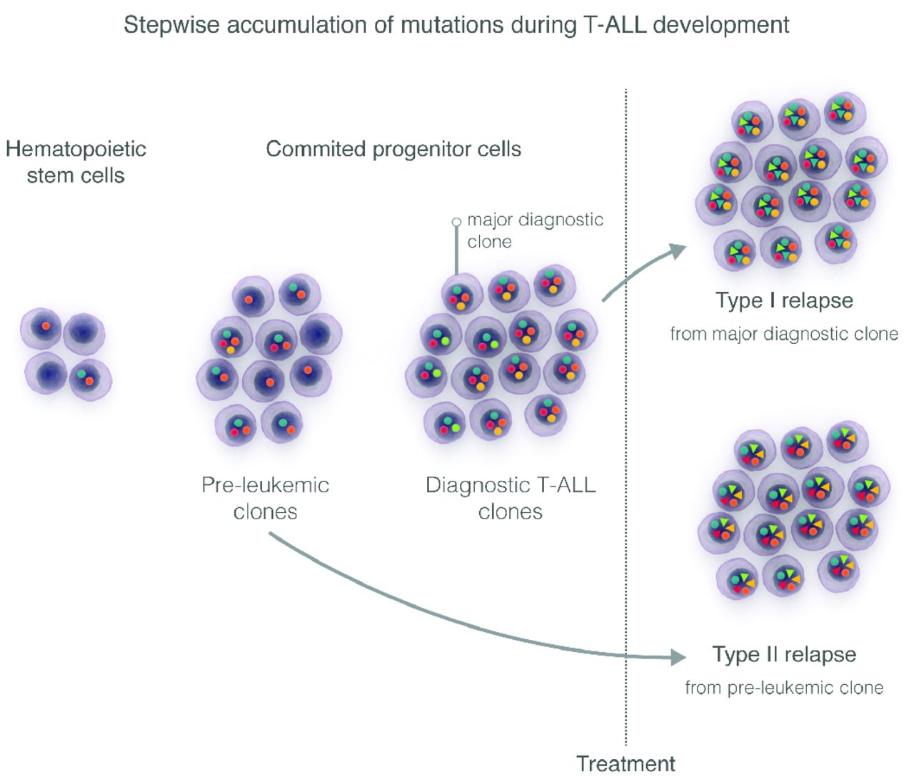 Pediatric T Cell Acute Lymphoblastic Leukemia