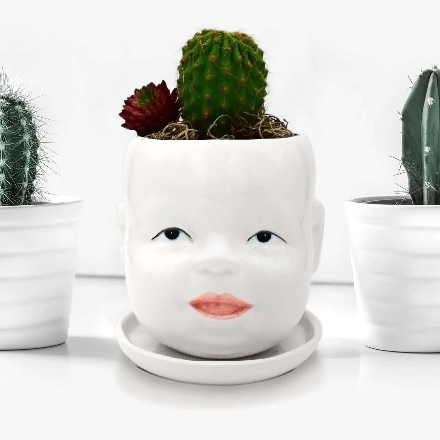 10 Cute Pots For Succulents