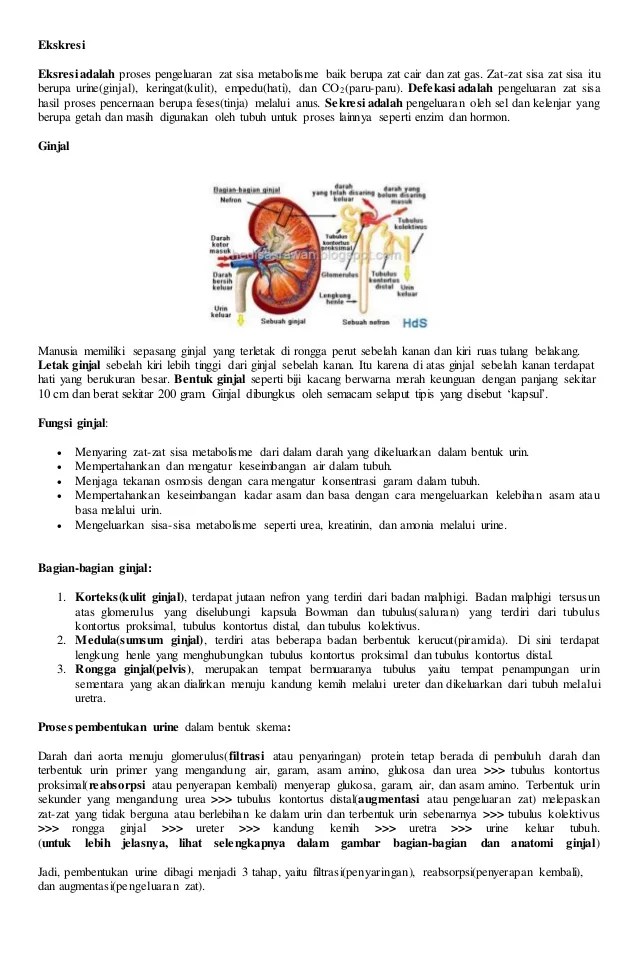 Pembahasan Pembentukan Urine Terjadi Di Dalam Ginjal Isilah Tabel