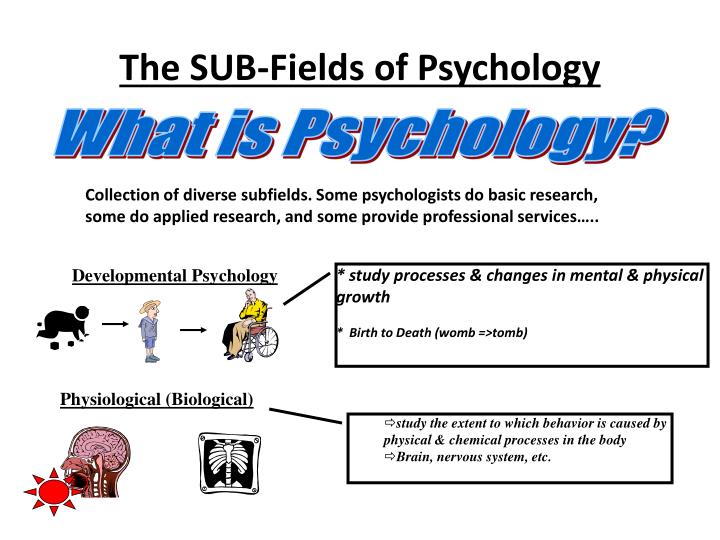 Subfields In Psychology Worksheet Printable Word Searches