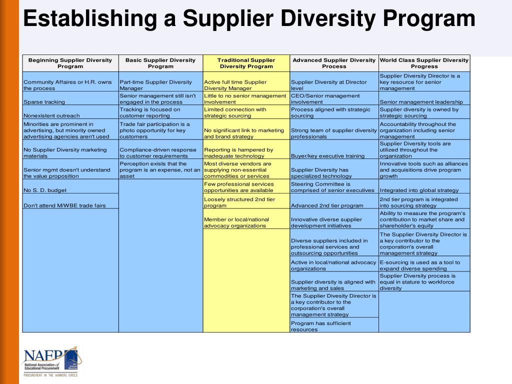 Supplier Diversity Plan Template