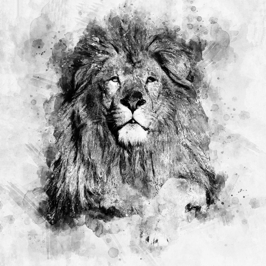 Lion Painting Black And White Cool Product Review Articles Bargains