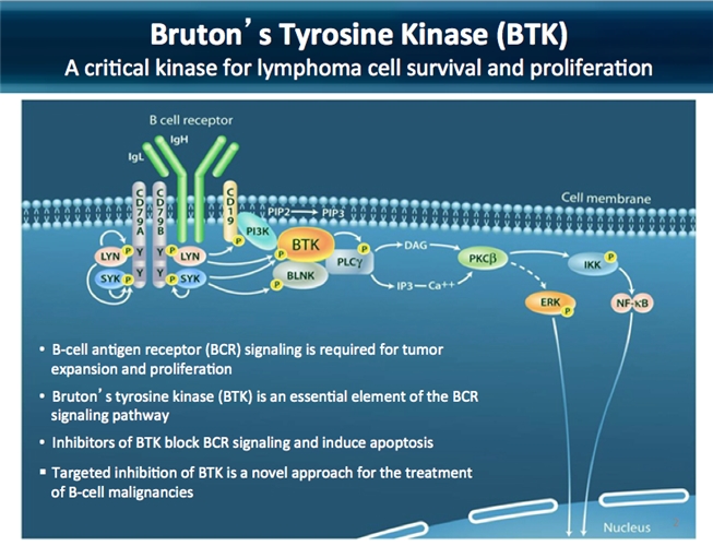 Brutons Tyrosine Kinase Btk Inhibitor