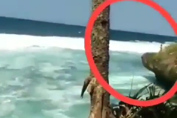 Viral Pantai Selatan Satu Trik