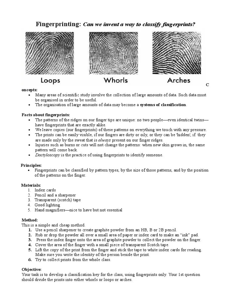 Printable Fingerprint Activity Worksheet