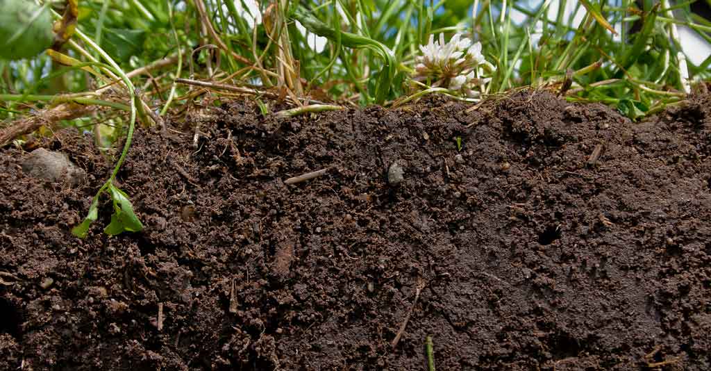 Fertilidade Do Solo E Os Fatores De Produção Agrícola Instituto Agro