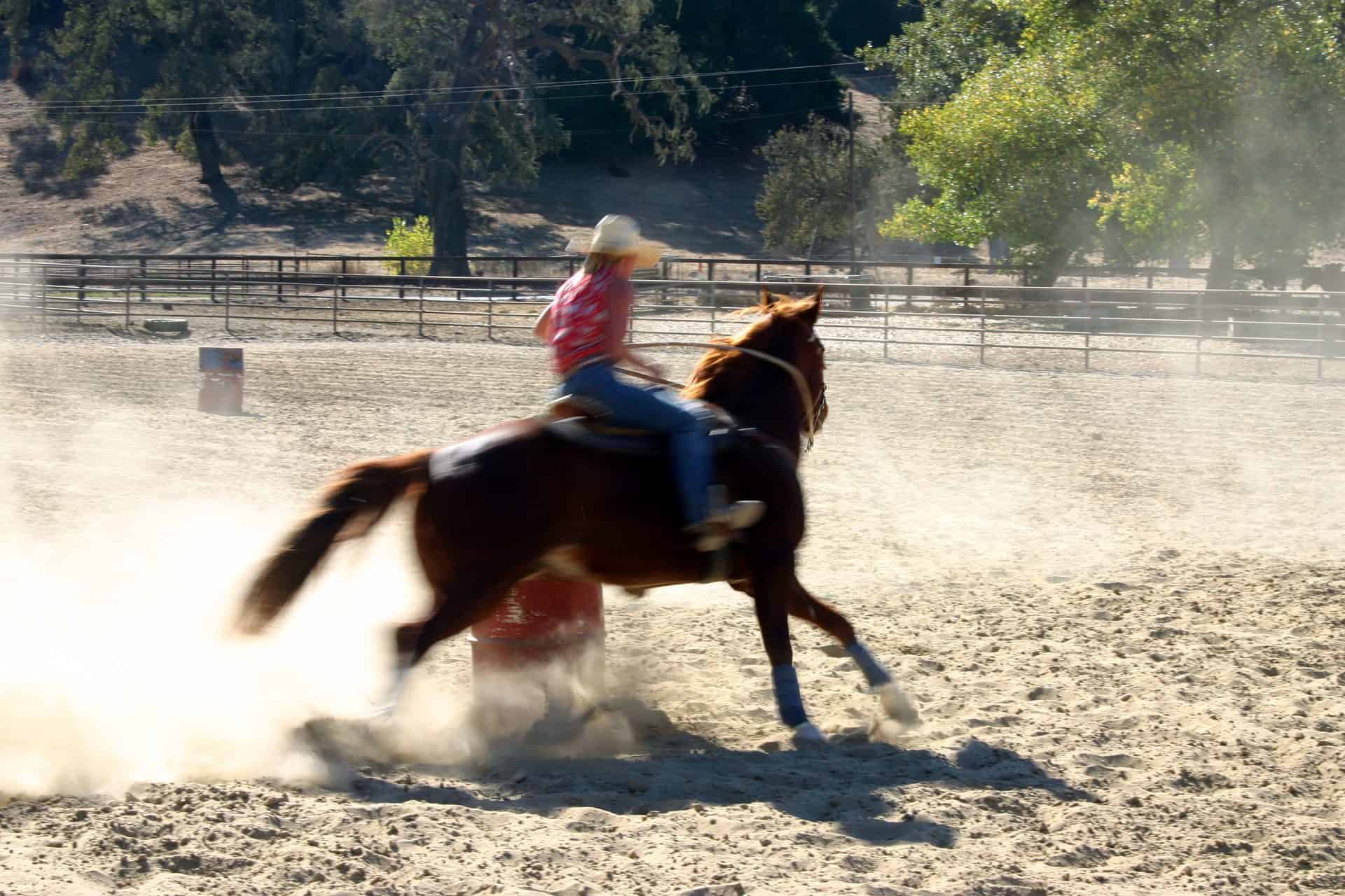 Barrel Racing For Beginners The Basics