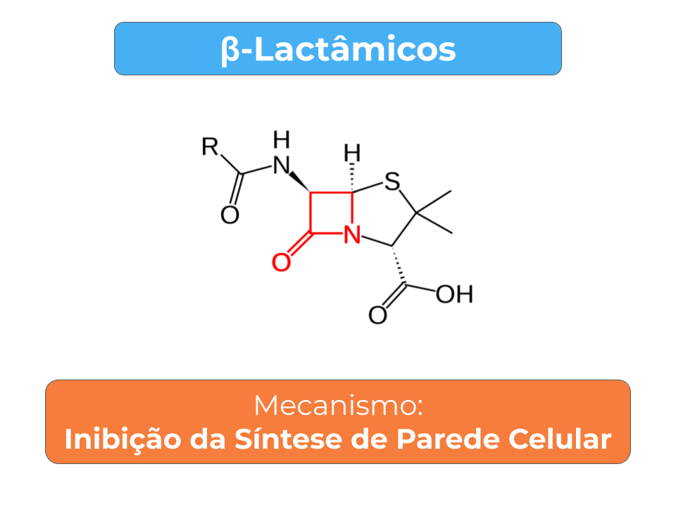 Estrutura Quimica De Um Triglicerideo Detalhes Científicos