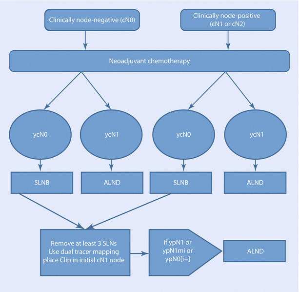 Axillary Management In The Neoadjuvant Setting Oncohema Key