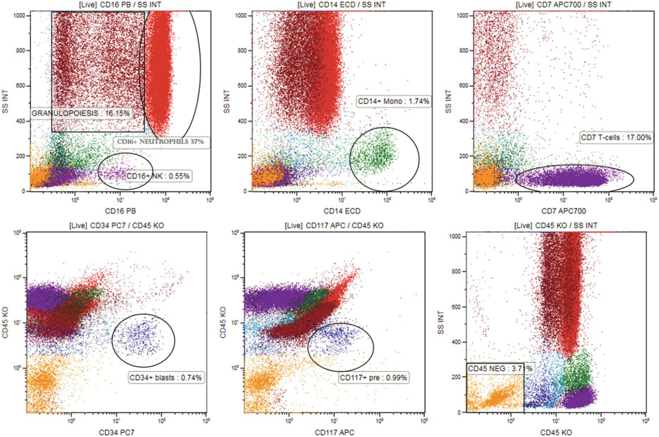 Chapter 19 Immunohistochemistry And Flow Cytometry In Bone Marrow