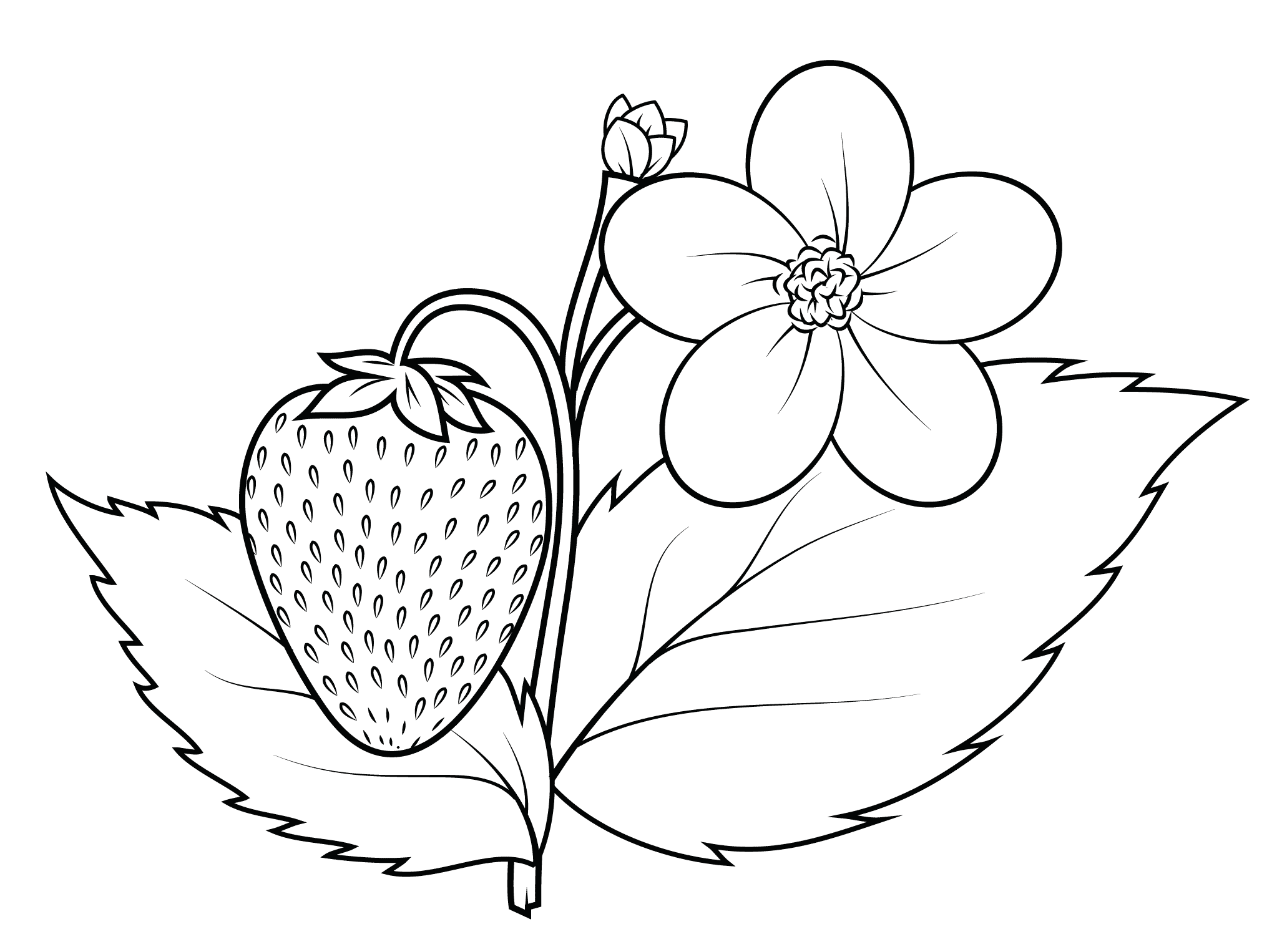 40 Desenhos De Plantas Para Colorir E Imprimir Online Cursos Gratuitos