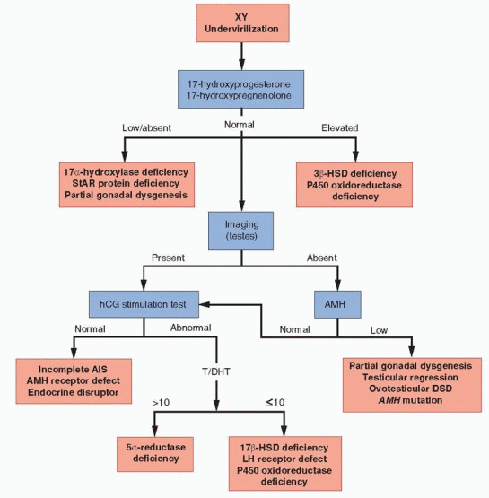 Normal And Abnormal Sexual Development Obgyn Key