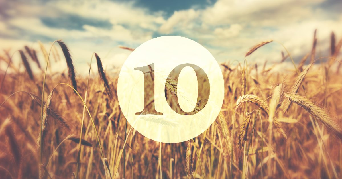 10 Biblical And Practical Ways To Get Involved In Church Planting Today