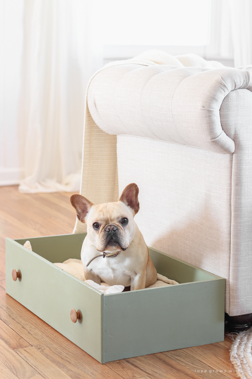 10 Cute Dog Bed Ideas