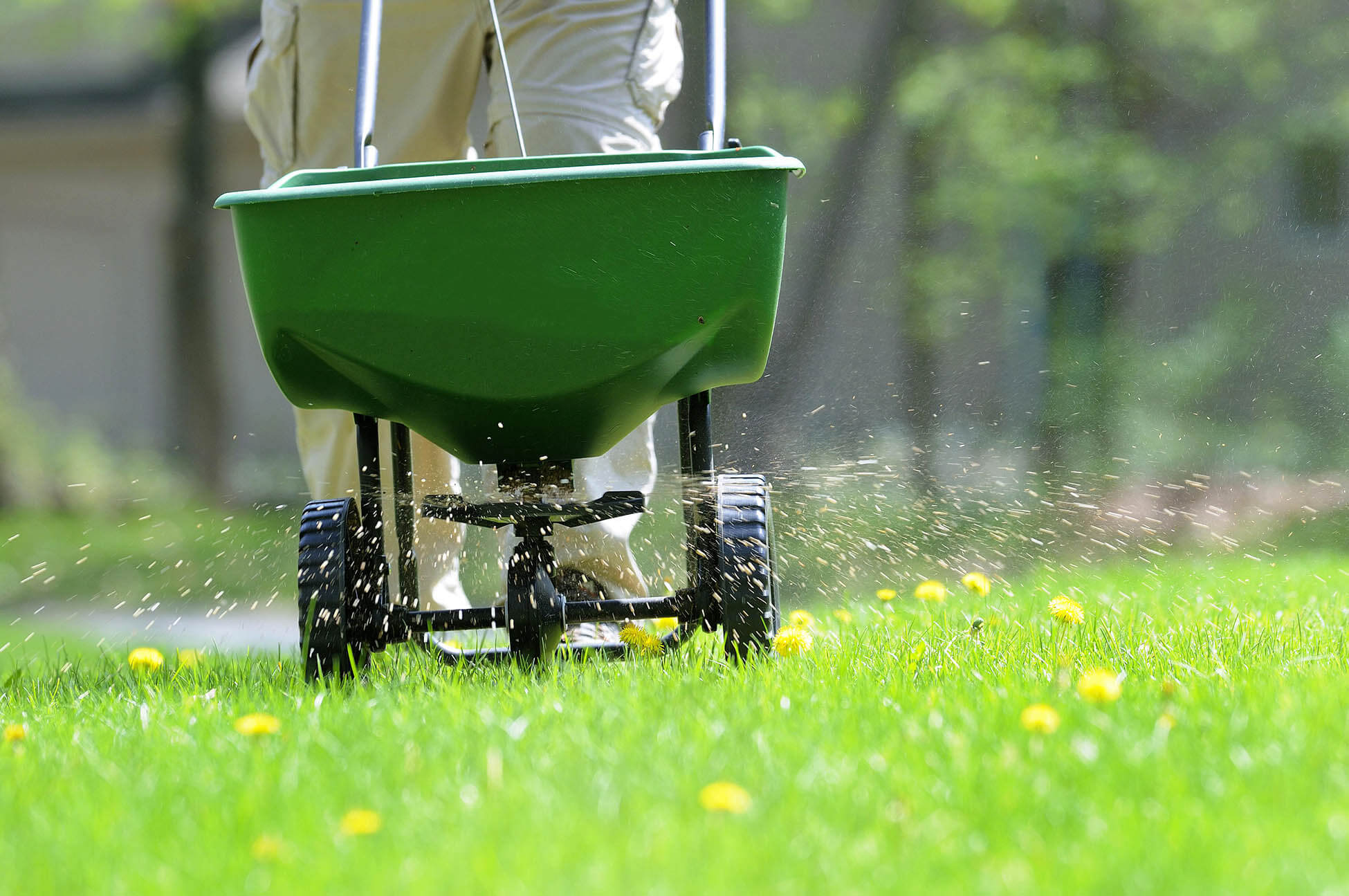 The Best Tips For Fertilizing Your Lawn