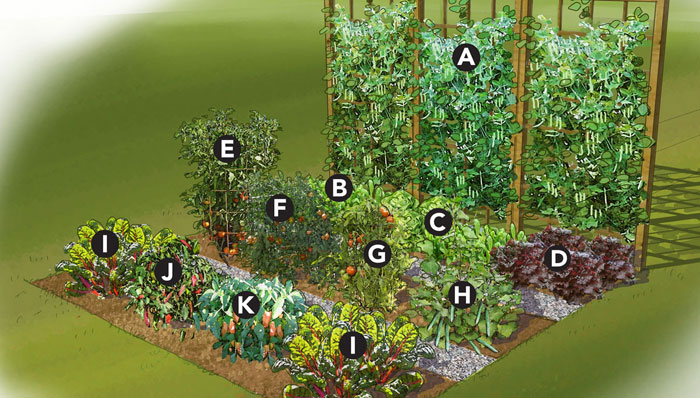 19 Vegetable Garden Plans And Layout Ideas That Will Inspire You