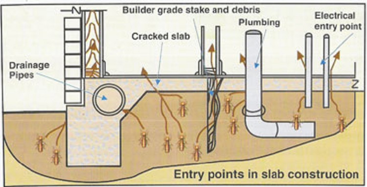 Termite Control Perfect Method Statement For Anti Termite Treatment