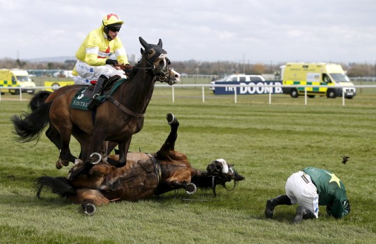 Grand National 2016 Four Horses Dead After Severe Mid Race Injuries