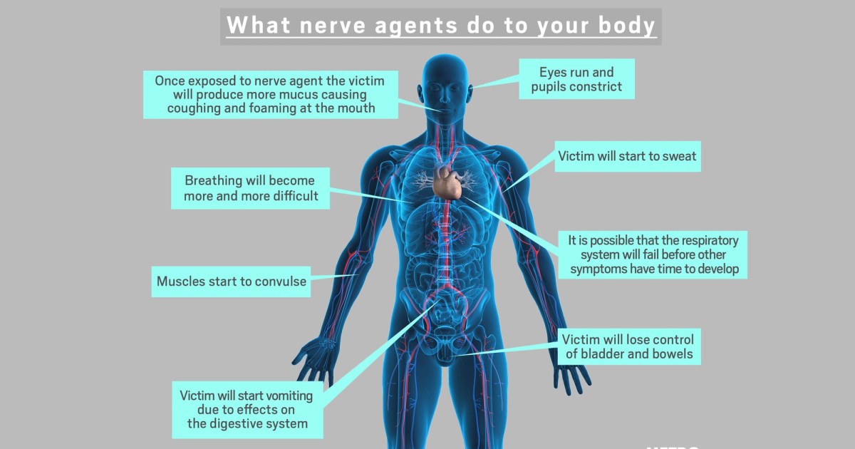 This Is What Nerve Agents Do To Your Body Metro News