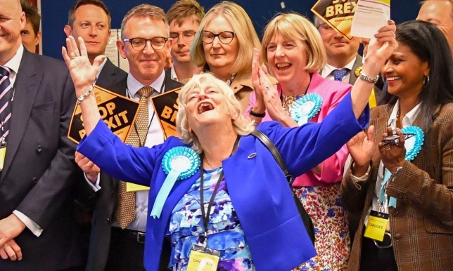 Ann Widdecombe Back In Politics As Newly Elected Brexit Party Mep