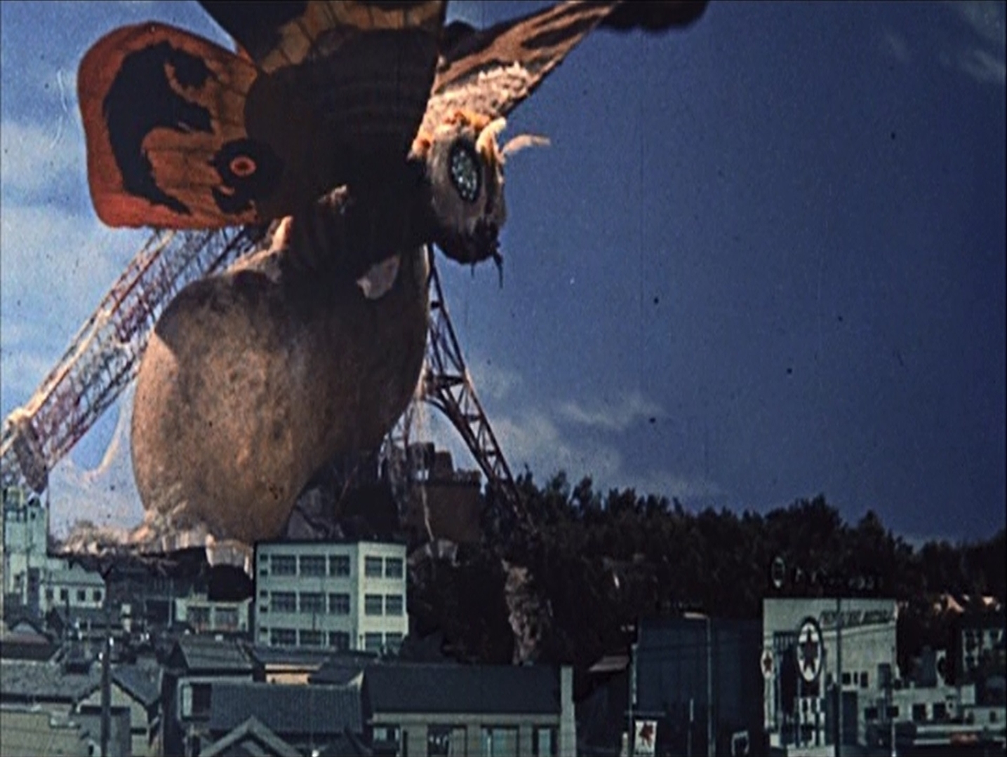 Mothra 1961 Midnite Reviews