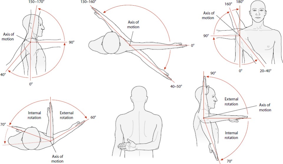 Shoulder Range Of Motion Degrees Chart